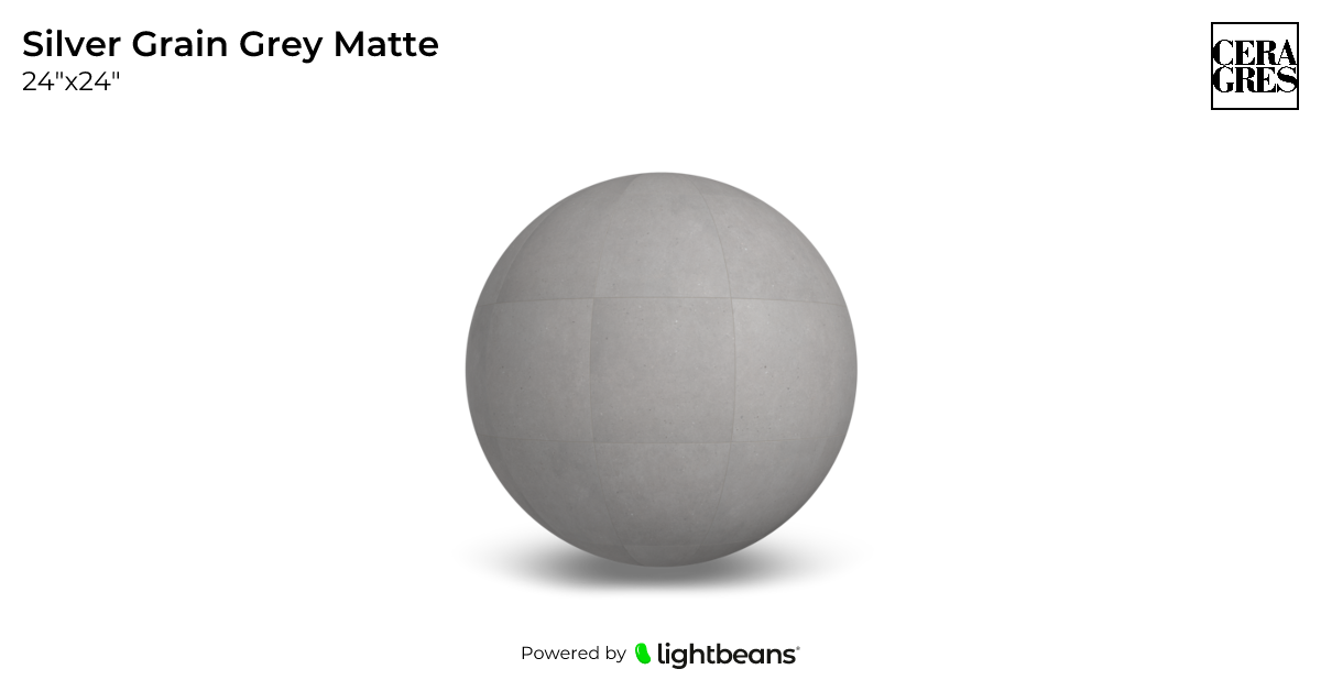 Silver Grain Grey Matte Texture from Ceragres | Lightbeans