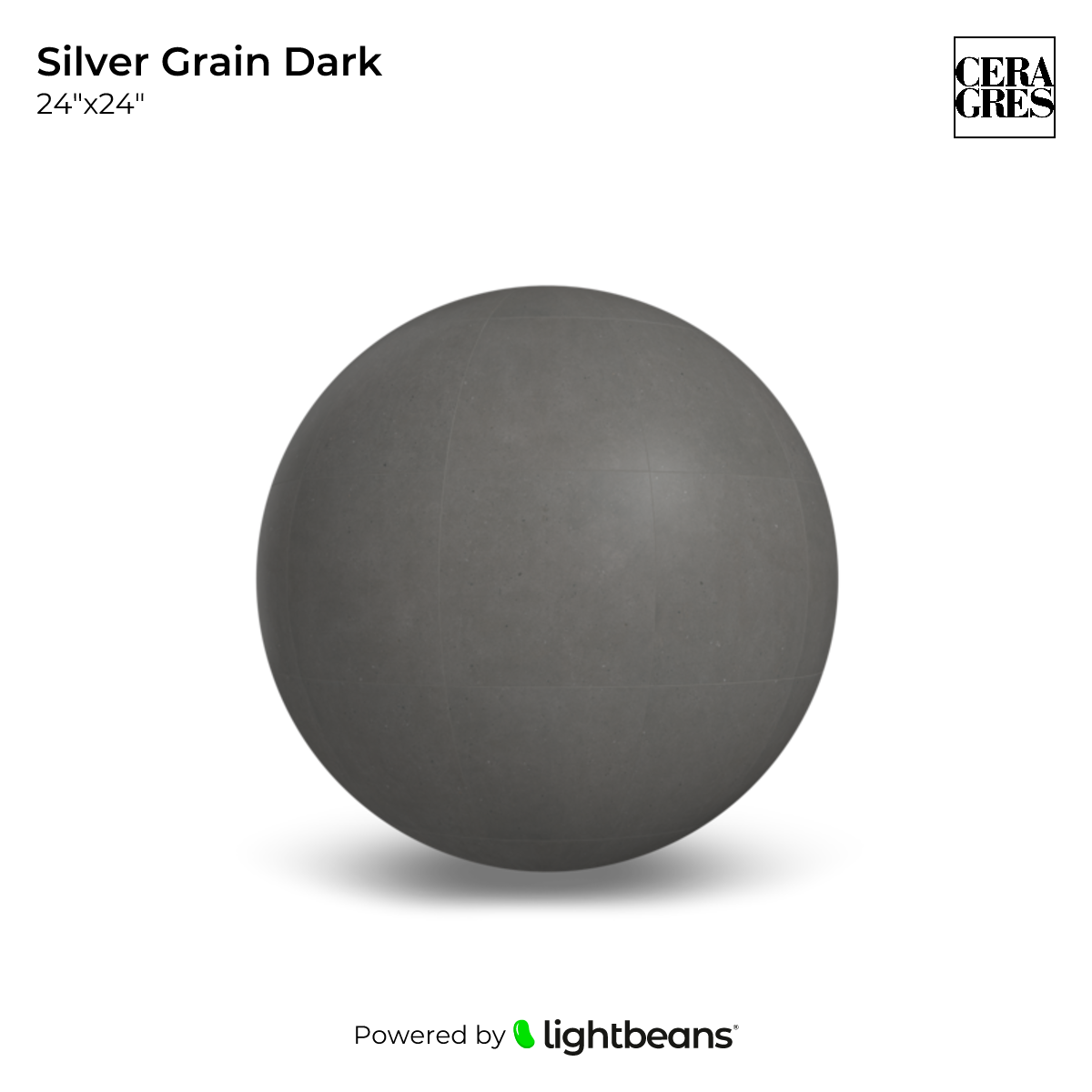 Silver Grain Dark Texture from Ceragres | Lightbeans