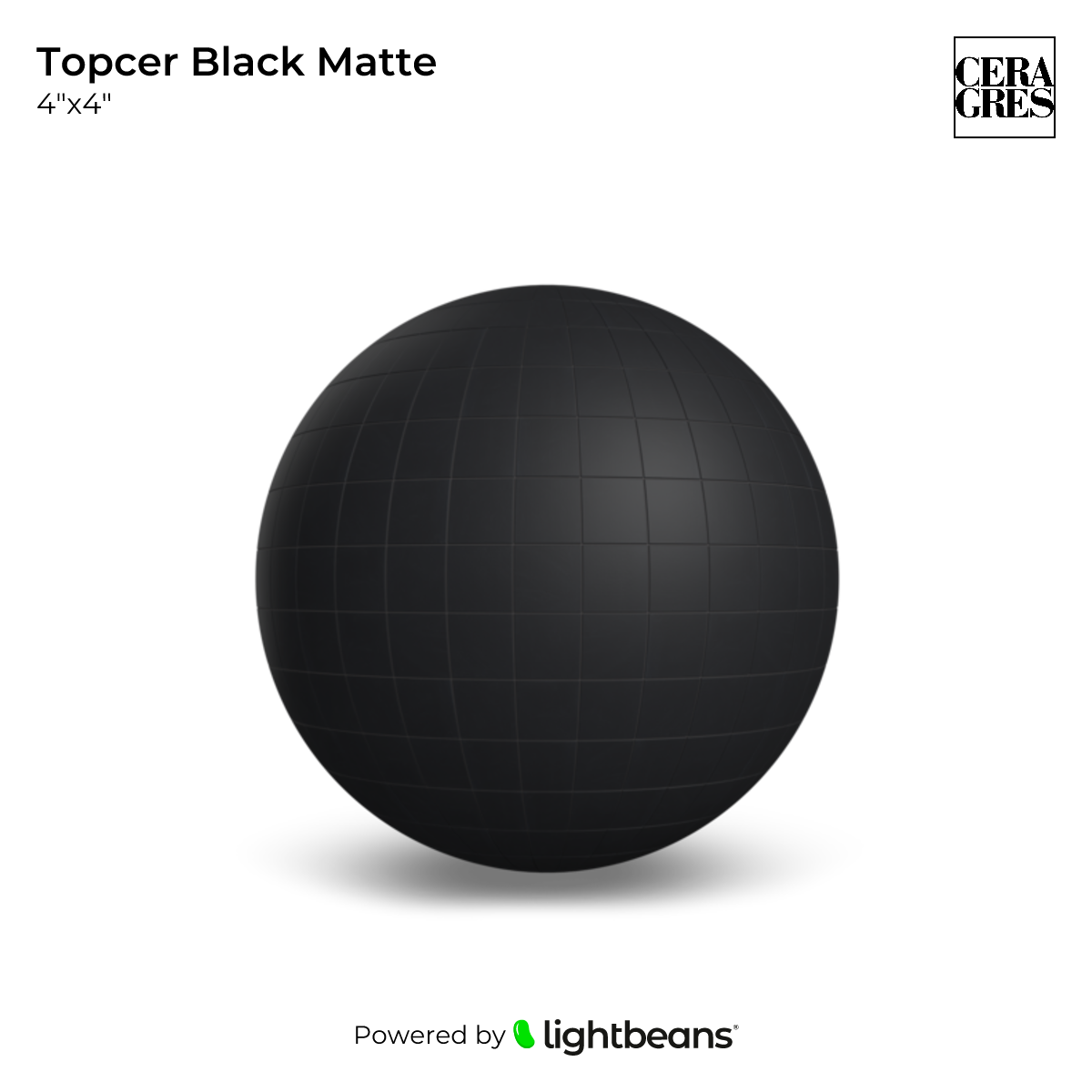 Topcer Black Matte Texture from Ceragres | Lightbeans