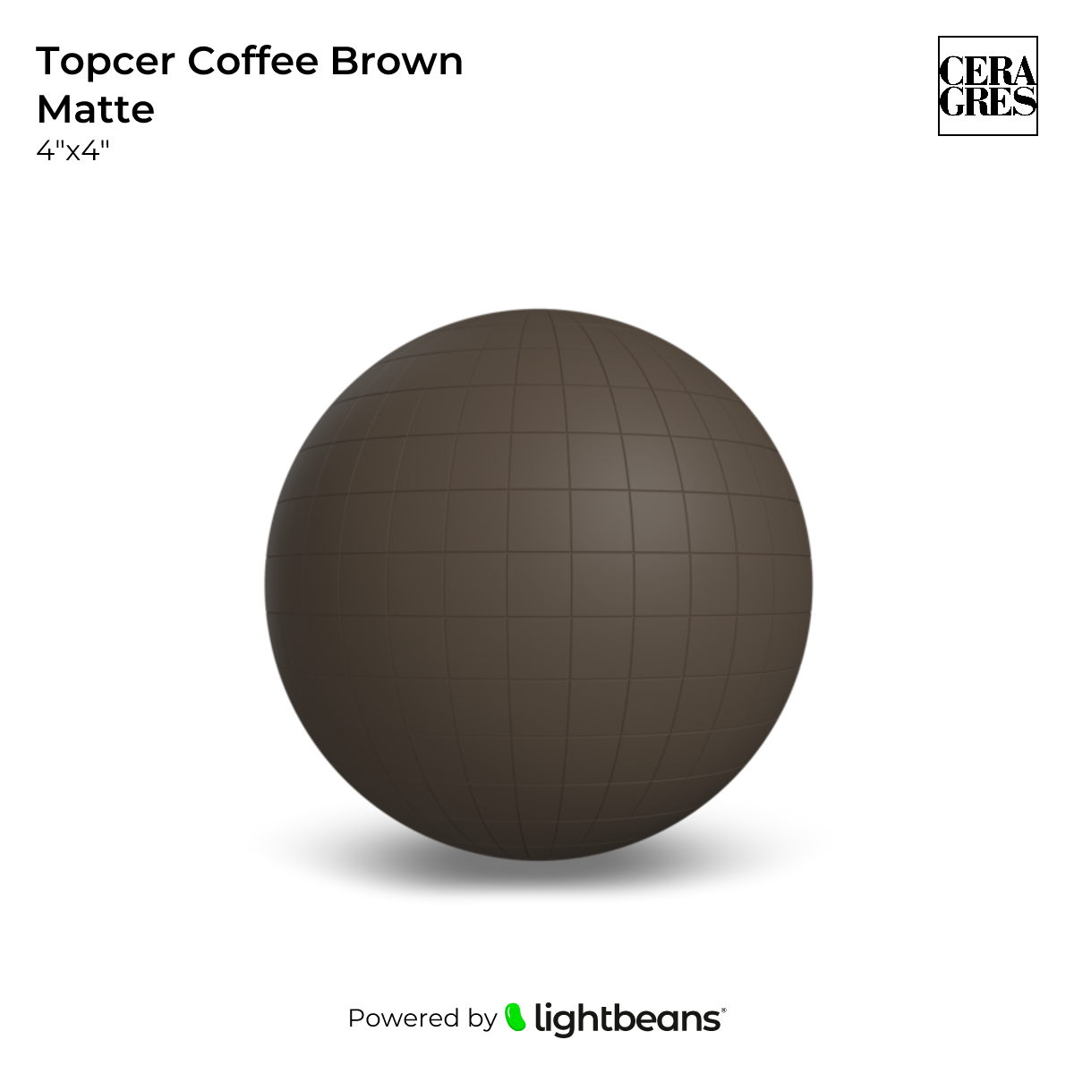 Topcer Coffee Brown Matte Texture from Ceragres | Lightbeans