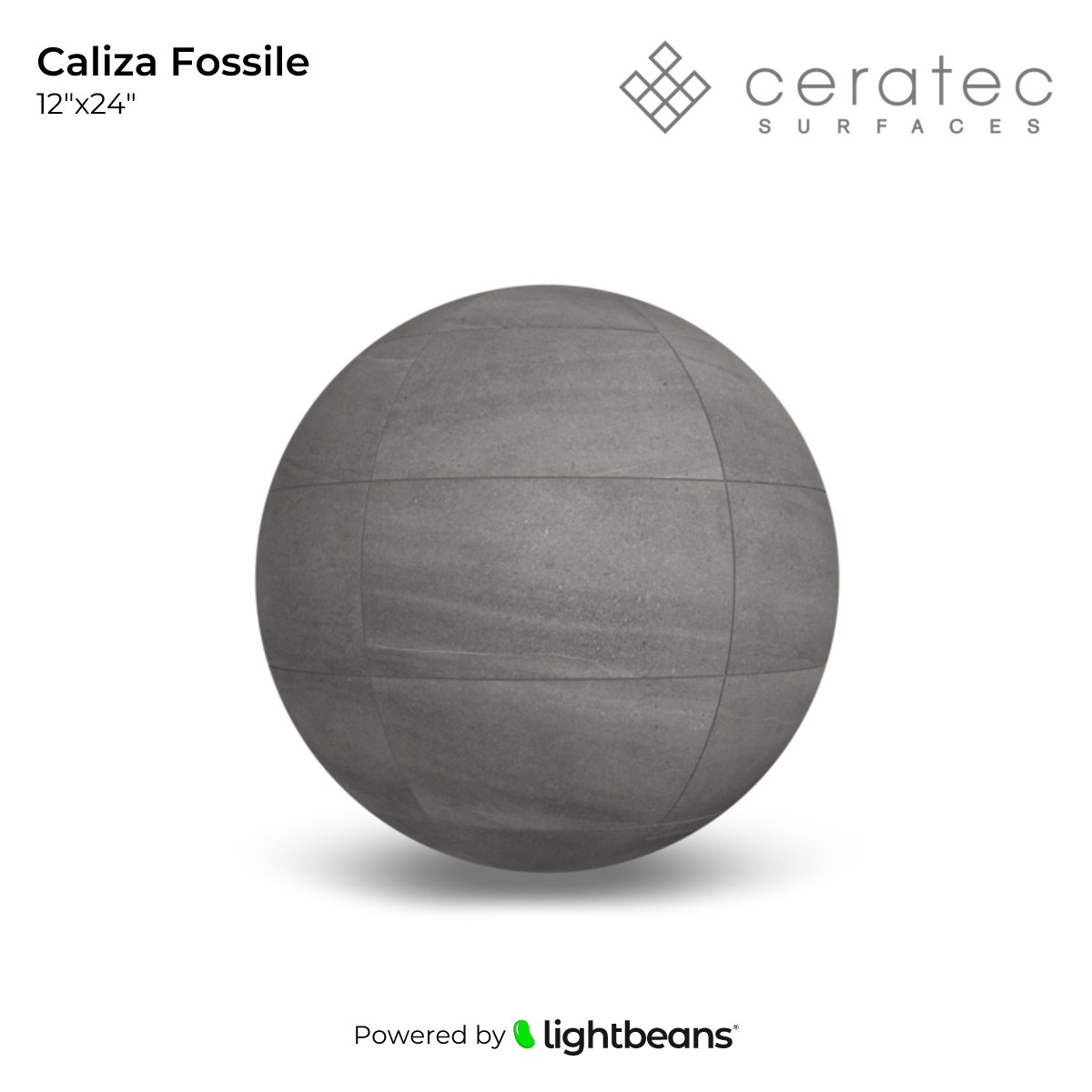 Caliza Fossile Texture from Ceratec | Lightbeans