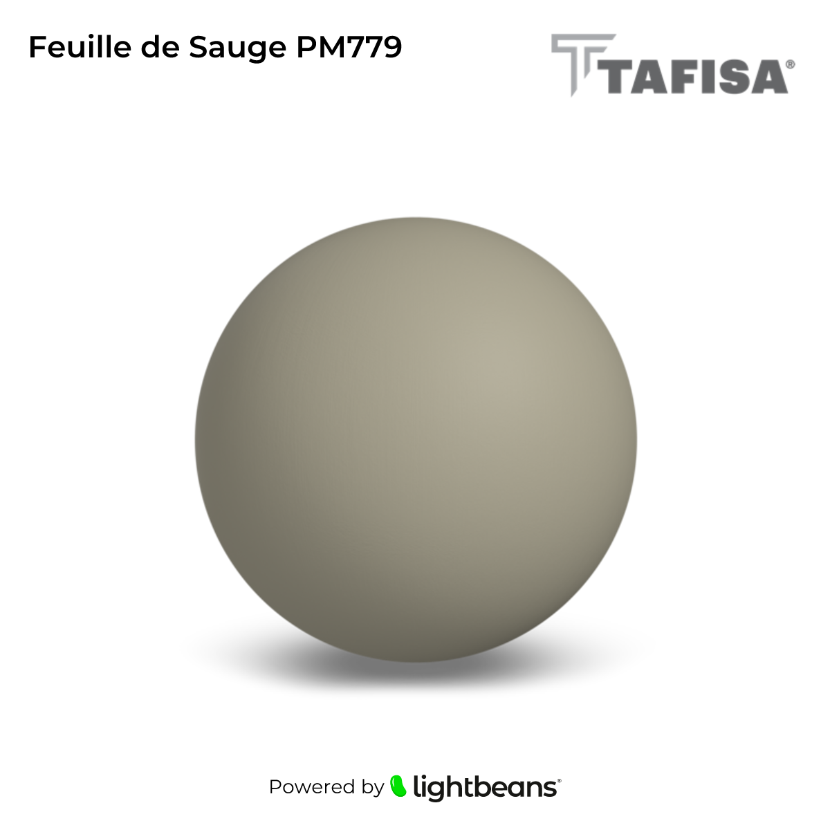 Texture Feuille de Sauge PM779 de Tafisa | Lightbeans