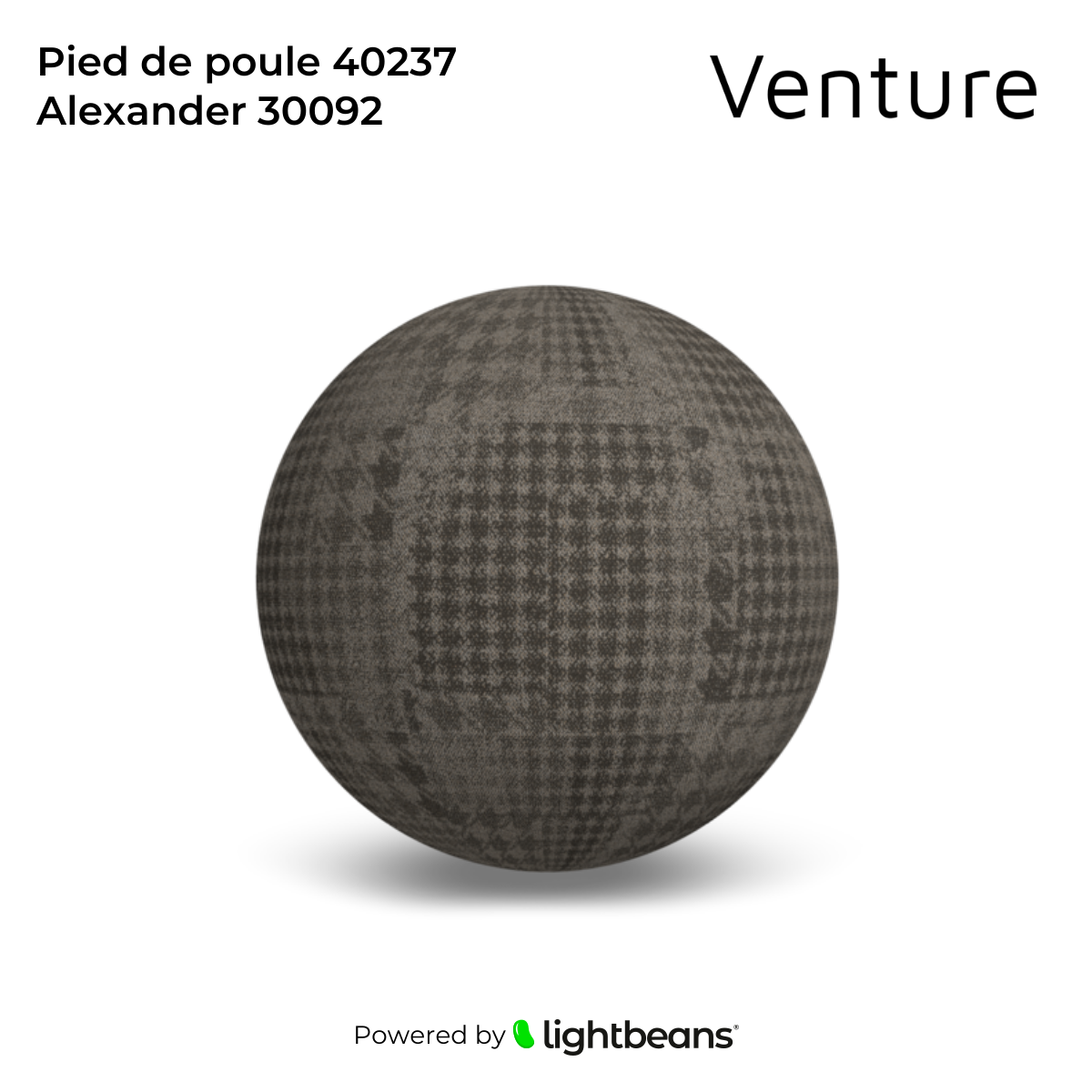 Texture Pied de poule 40237 Alexander 30092 de Venture Carpets | Lightbeans