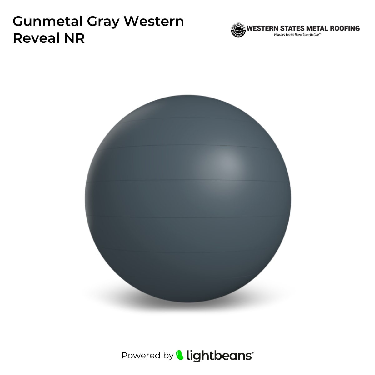 Texture Gunmetal Gray Western Reveal NR de Western States Metal Roofing ...